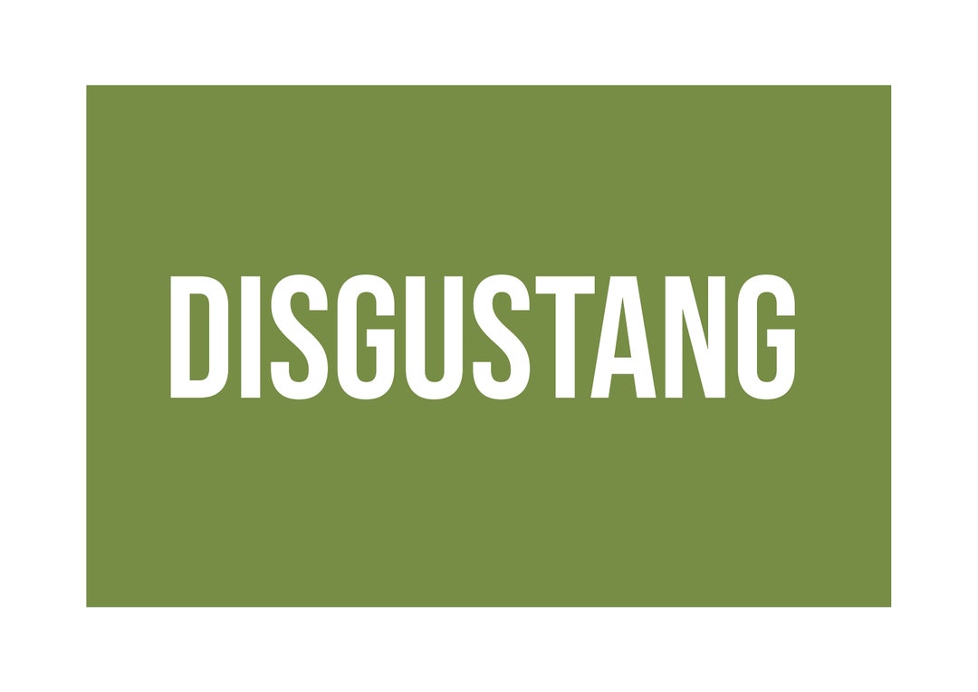 DISGUSTANG Tiktok Meme Quote Wall Art Landscape Print A3/A4/A5 - Etsy