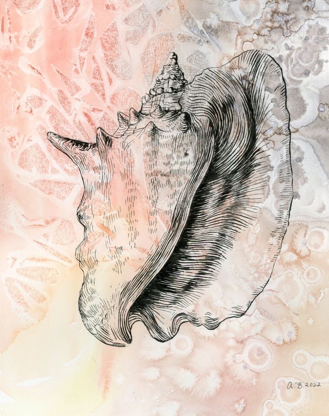 Conch Shell - Etsy