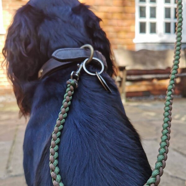 Dog Lead - Etsy