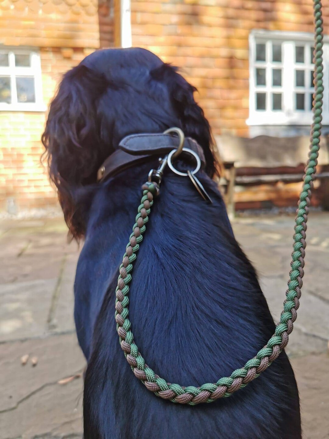 Custom Slimline Paracord Dog Lead With Trigger Clip A Great Gift for ...