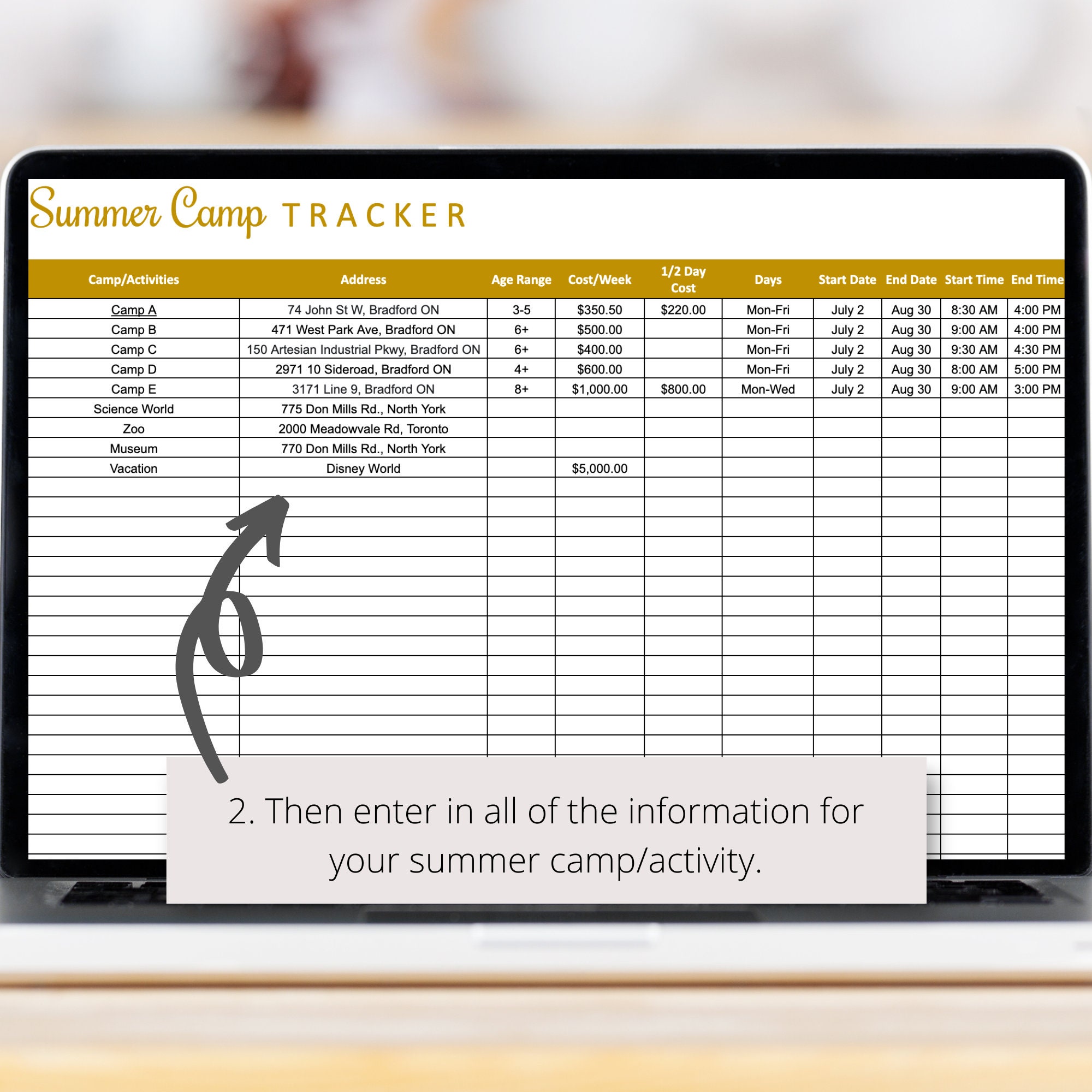 Summer Camp Planner Google Sheets Spreadsheet (14 Weeks), Summer Camp ...