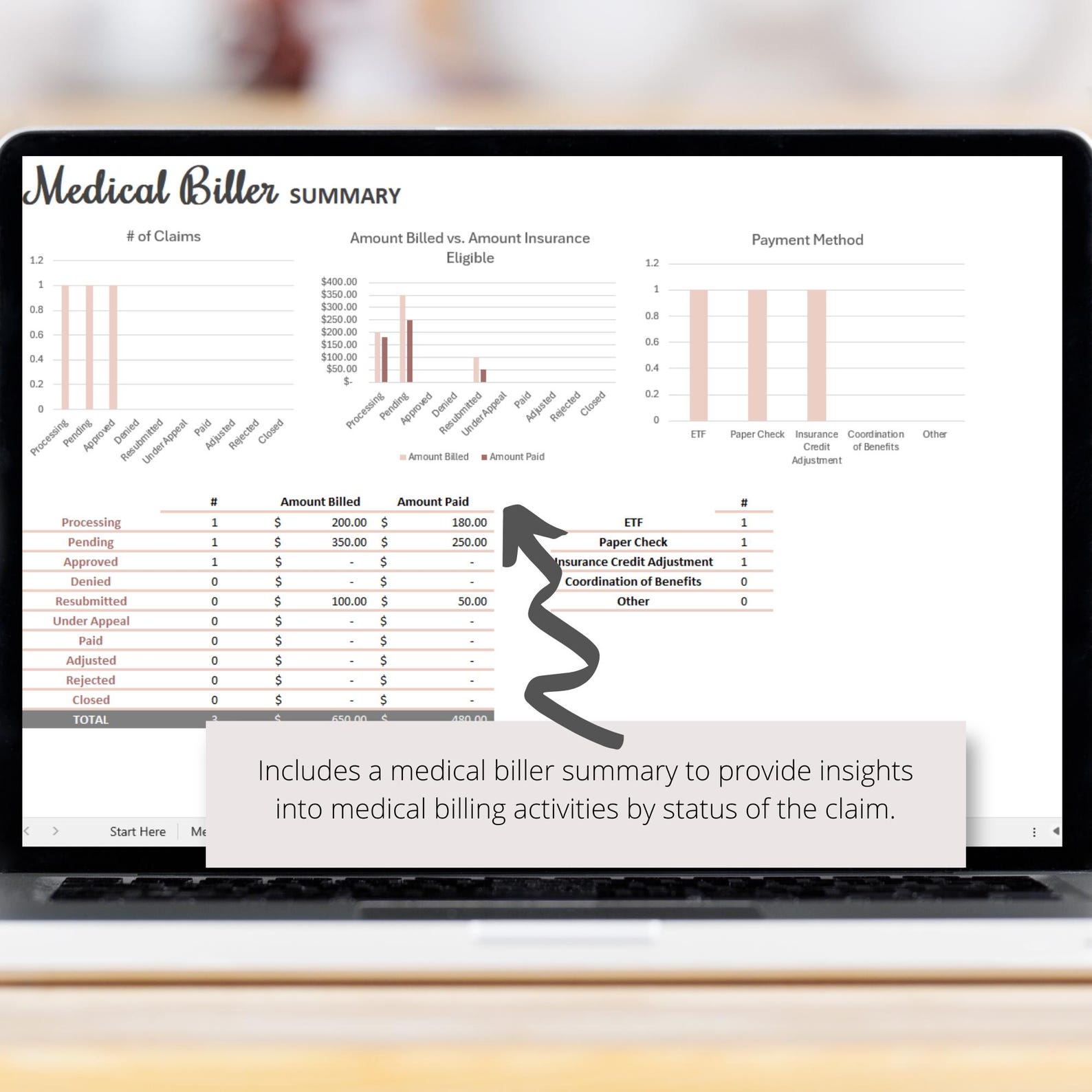 Medical Biller Tracker Excel Spreadsheet, Medical Expense Records ...