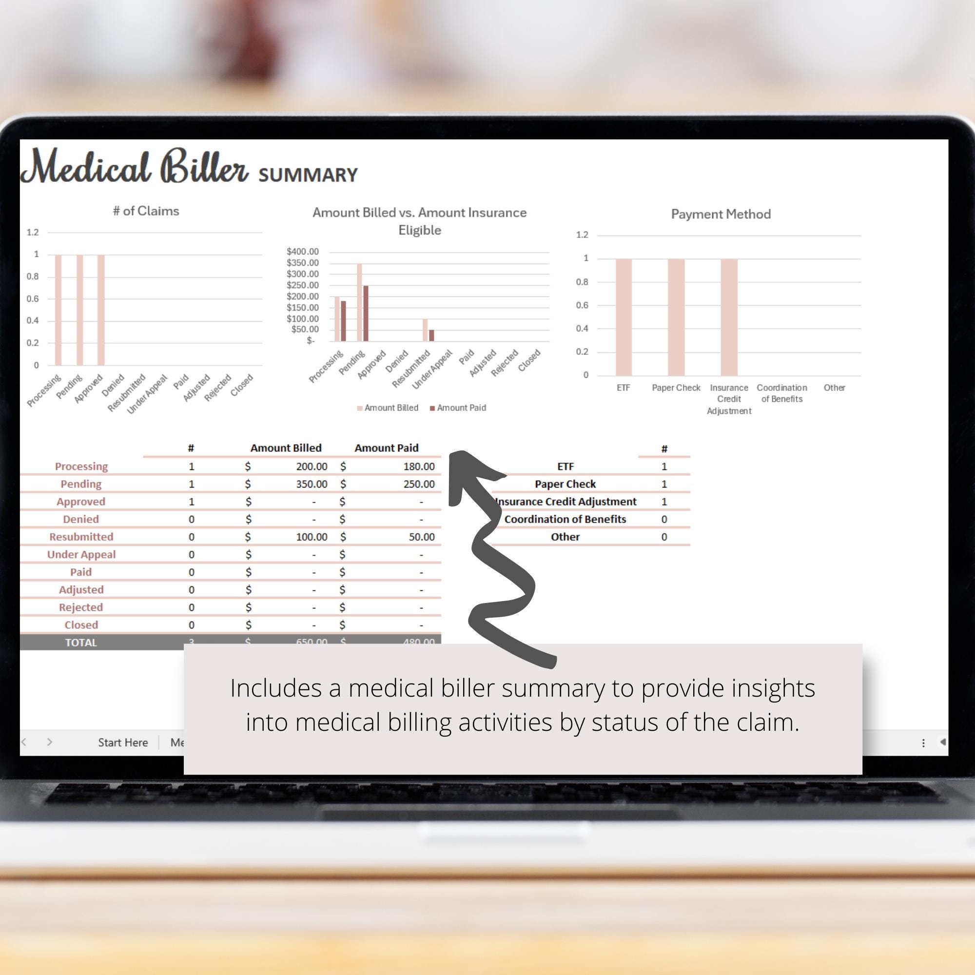 Medical Biller Tracker Excel Spreadsheet, Medical Expense Records ...