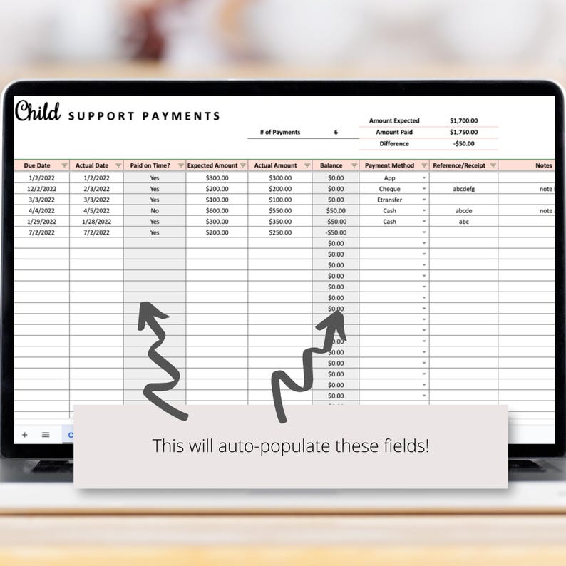 Child Support Payment Tracker Excel Spreadsheet, Child Expense ...