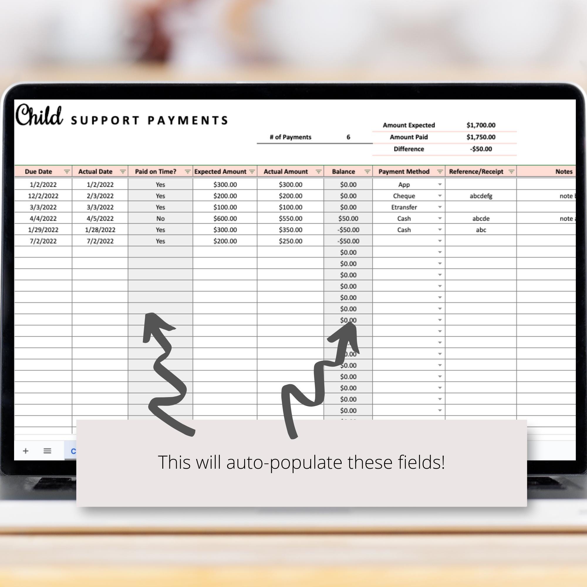 Child Support Payment Tracker Excel Spreadsheet, Child Expense ...