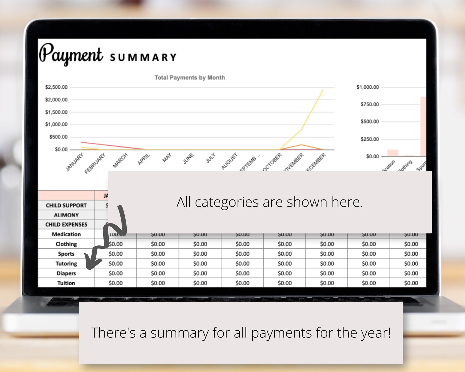 Child Support Tracker Google Sheets Spreadsheet Child Custody - Etsy