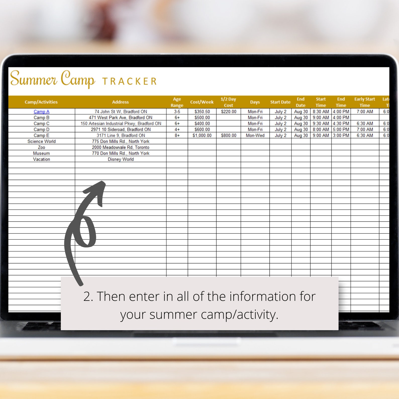 Summer Camp Planner Excel Spreadsheet, Summer Camp Organizer, Camp ...