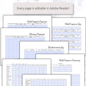 Child Support Tracker Printable PDF, Child Expenses Tracker for ...