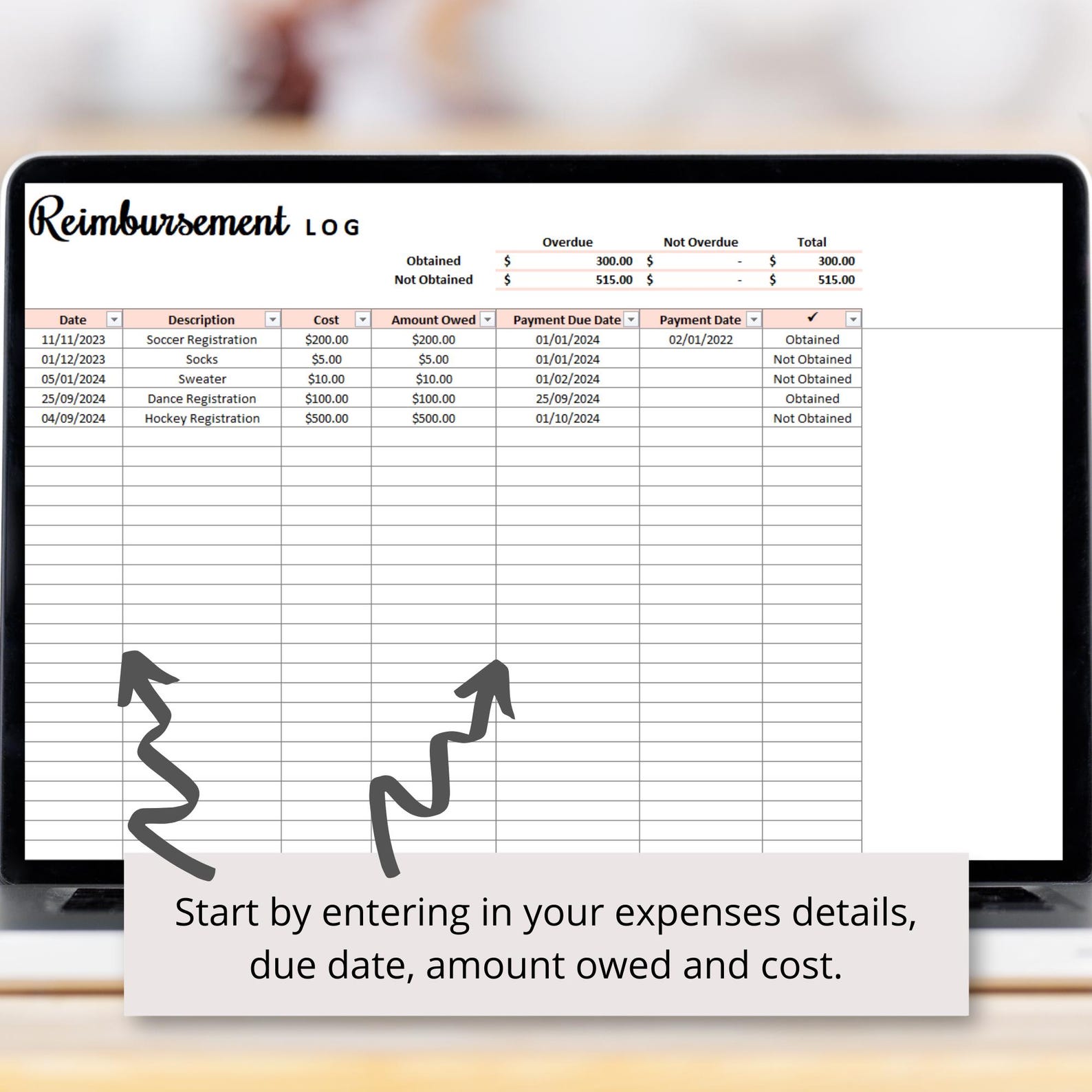 Coparenting Reimbursement & Communications Log Excel Spreadsheet, Child ...