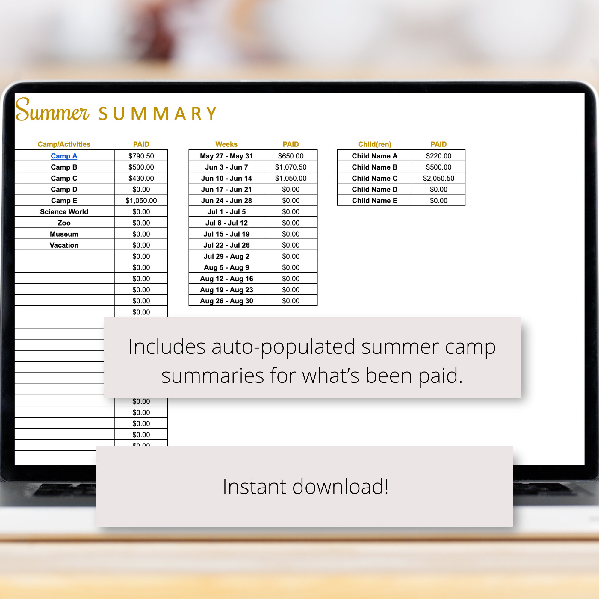 Summer Camp Planner Google Sheets Spreadsheet (14 Weeks), Summer Camp ...