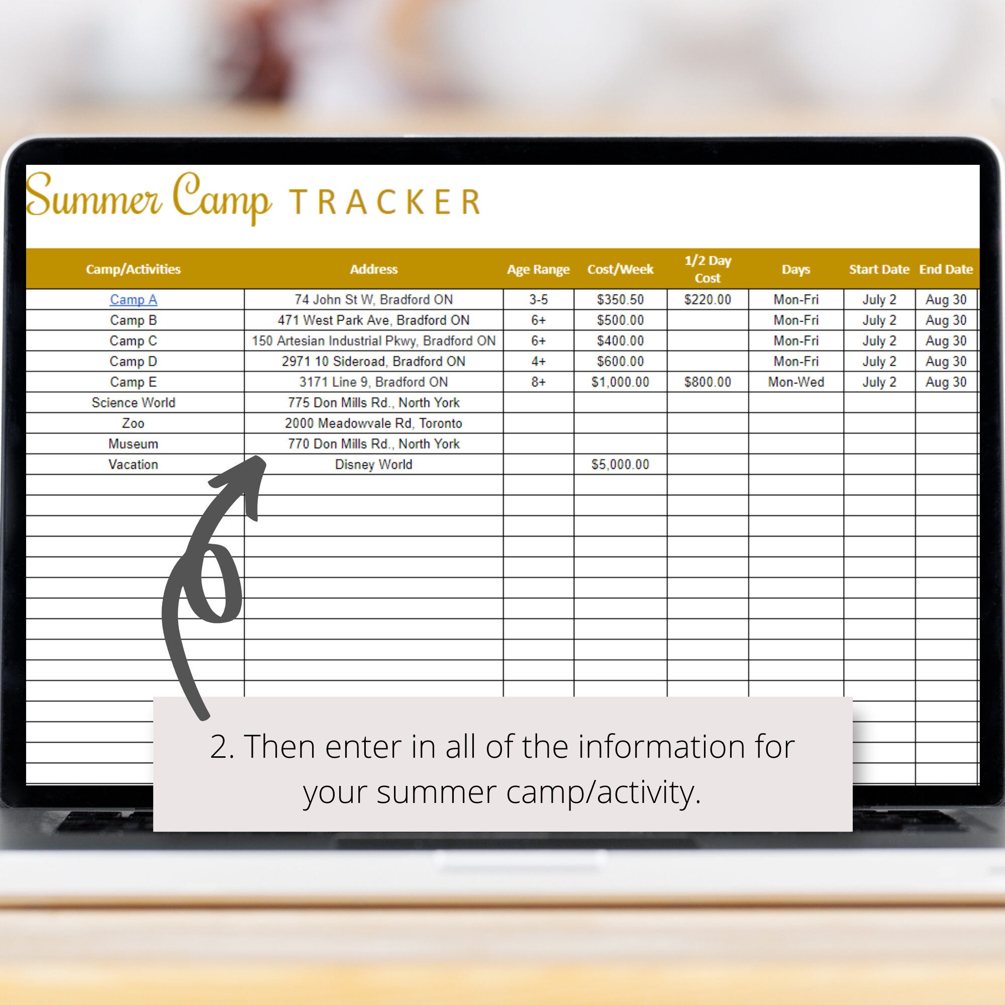 Summer Camp Planner Google Sheets Spreadsheet, Summer Camp Organizer ...