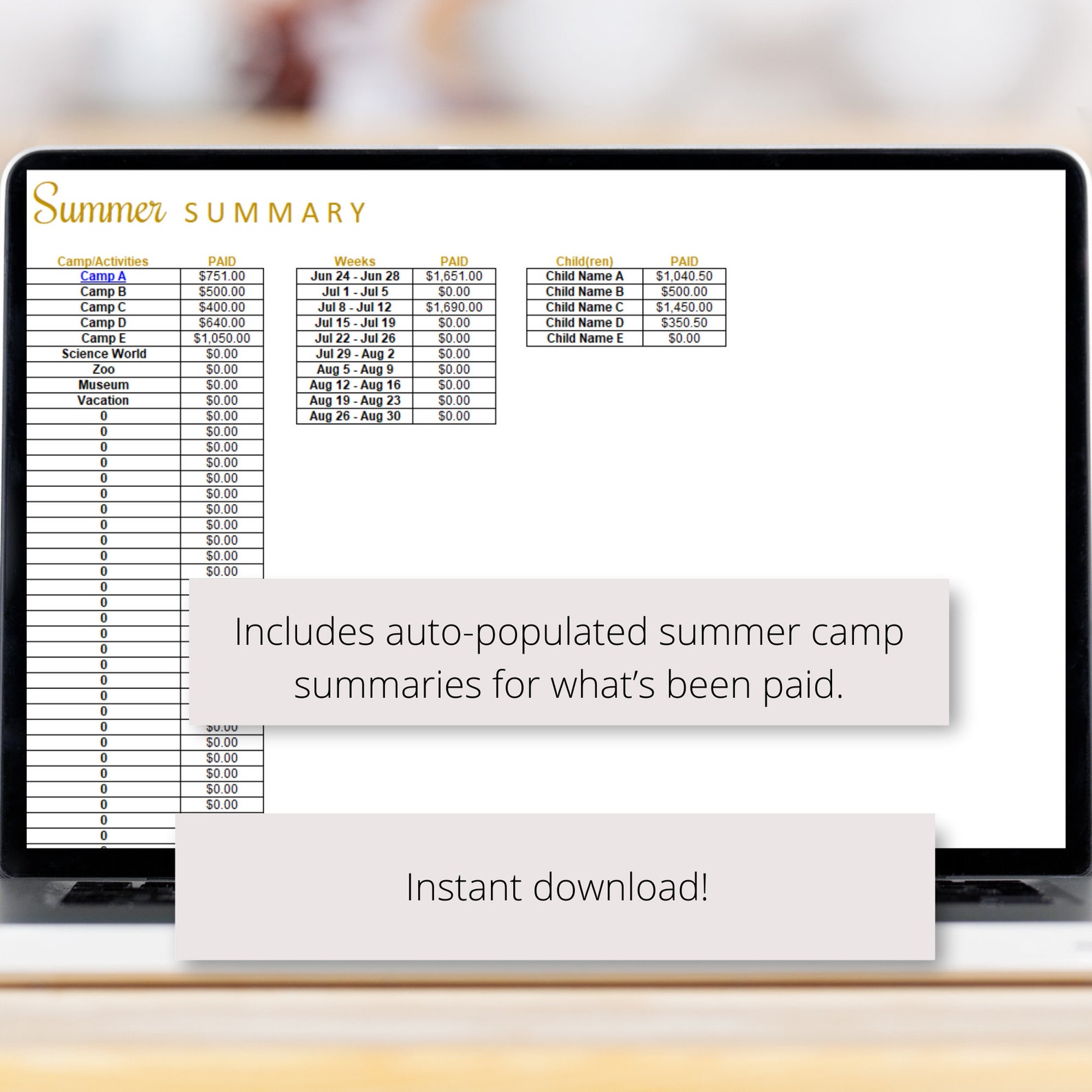 Summer Camp Planner Excel Spreadsheet, Summer Camp Organizer, Camp ...