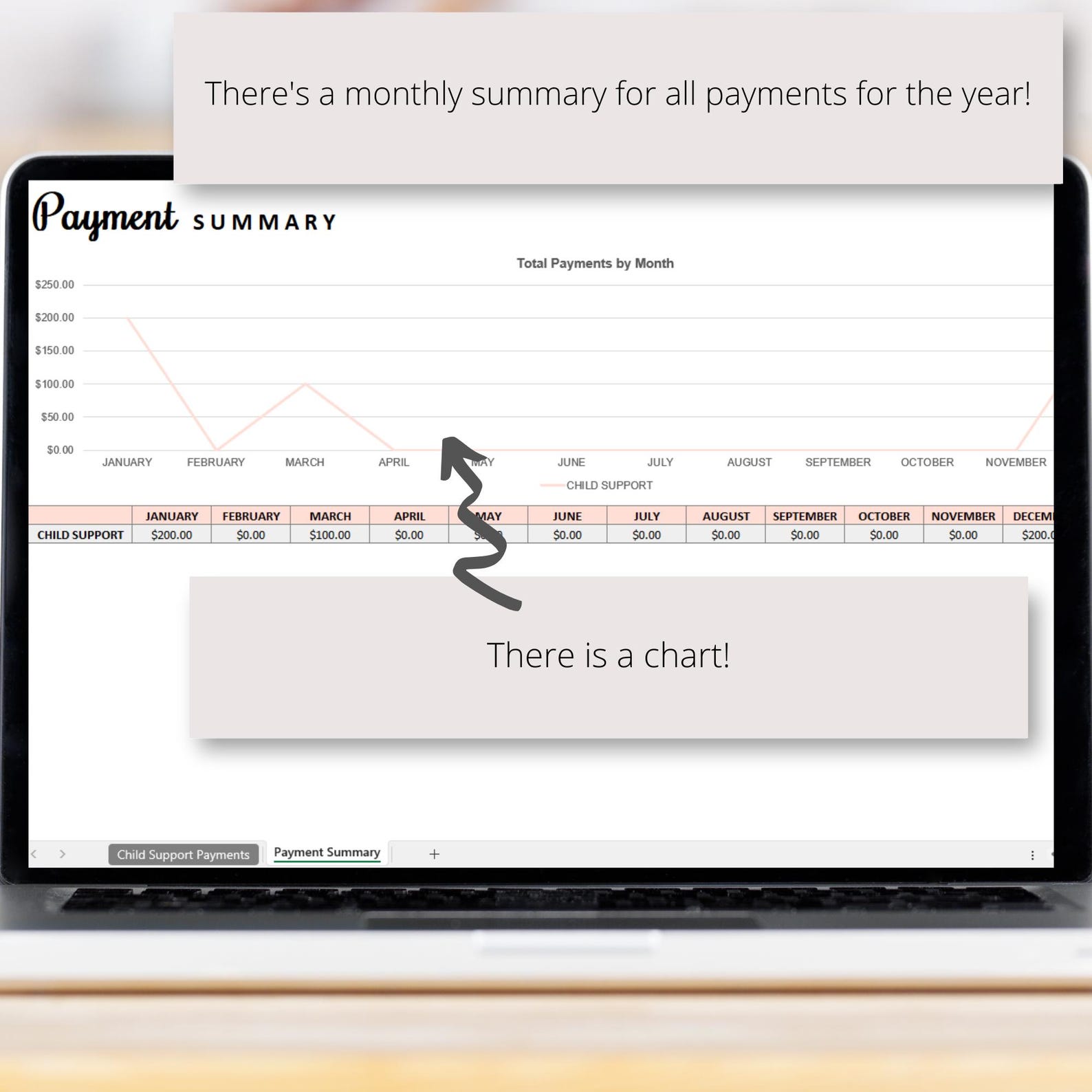 Child Support Payment Tracker Excel Spreadsheet, Child Expense ...