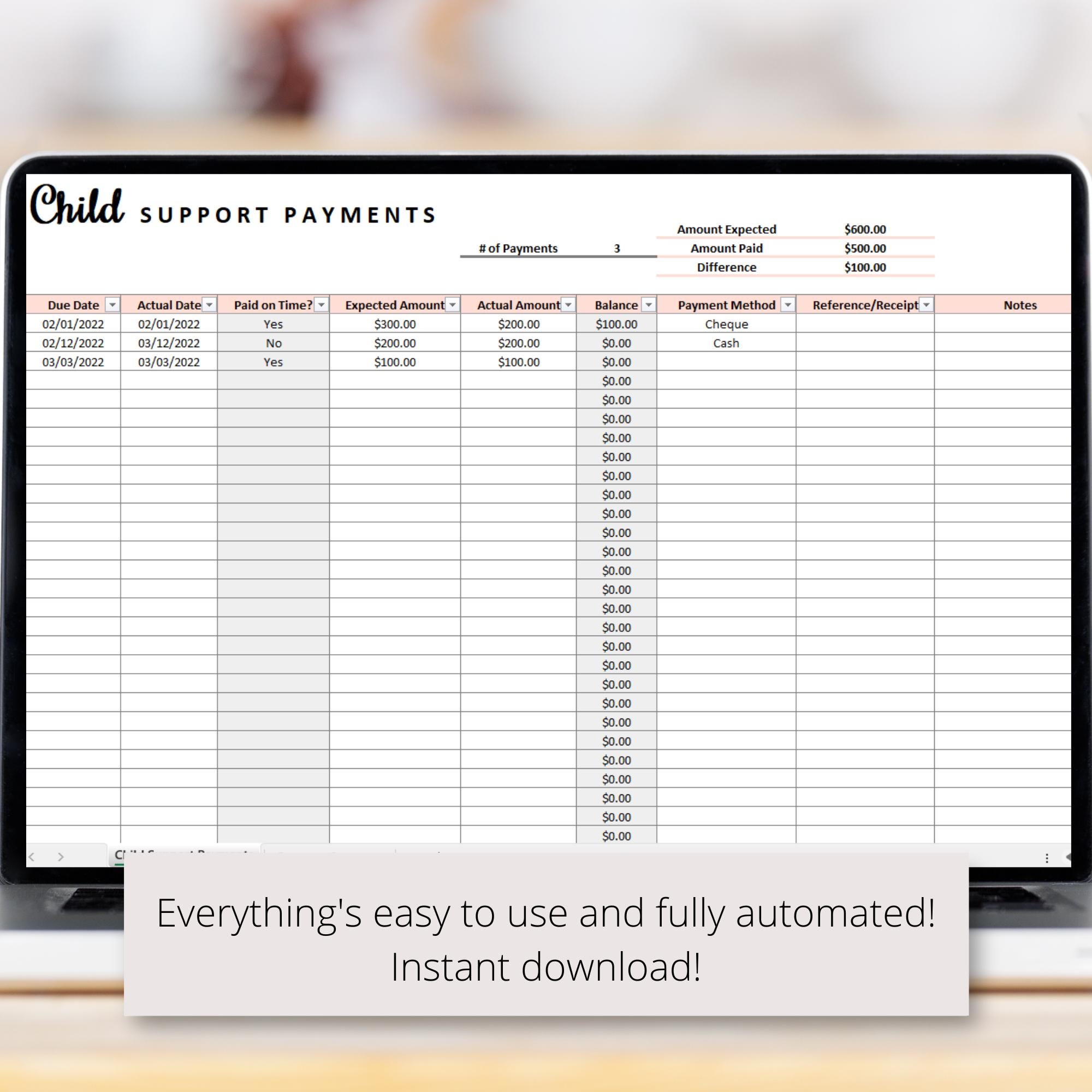 Child Support Payment Tracker Excel Spreadsheet, Child Expense ...