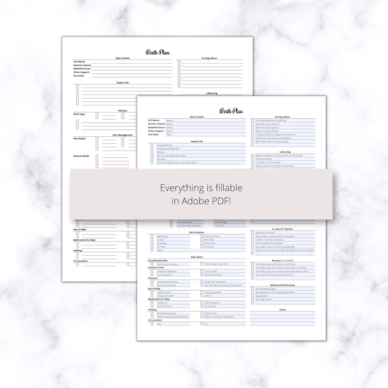 Birth Plan Checklist Printable PDF, Birthing Plan Checklist Template ...