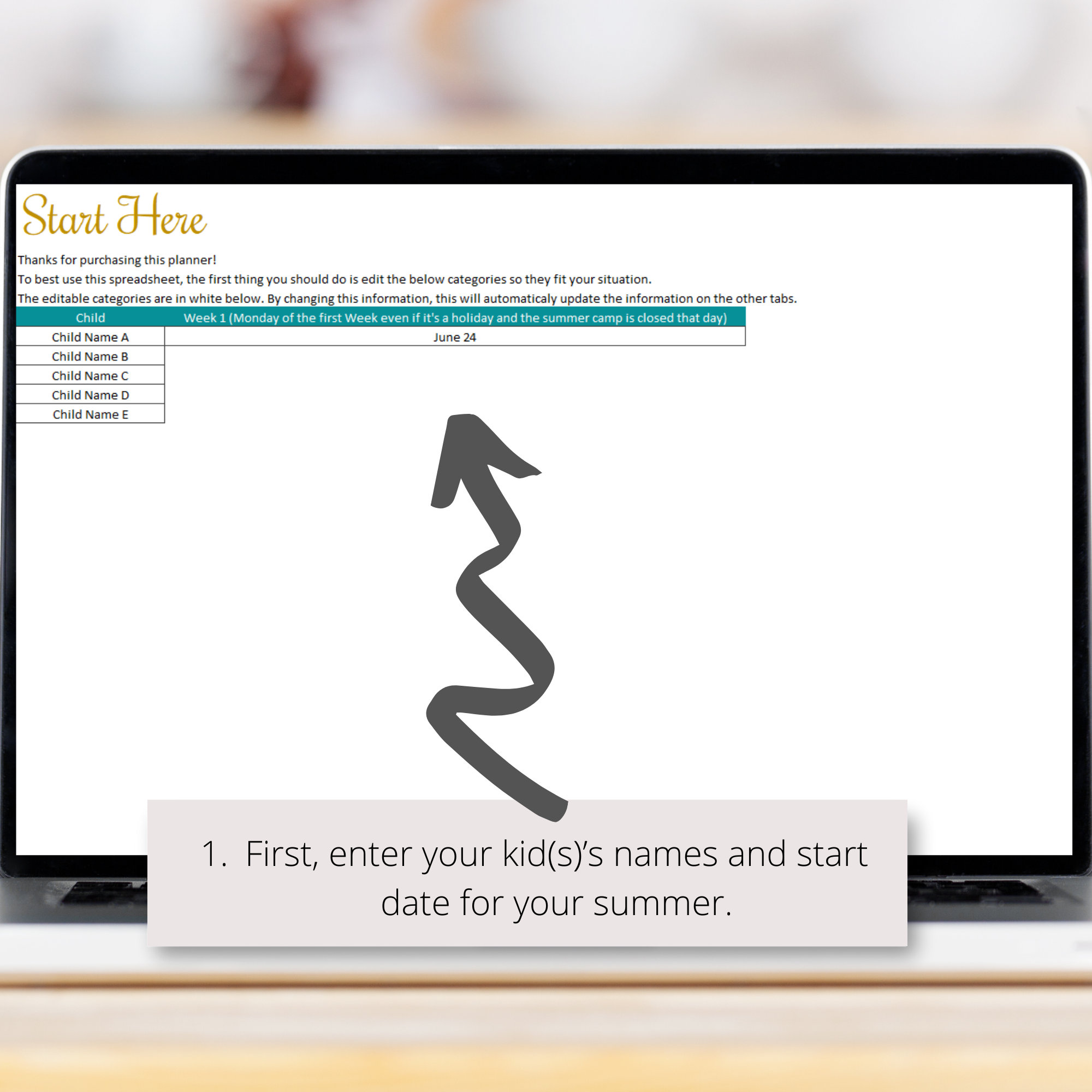Summer Camp Planner Excel Spreadsheet, Summer Camp Organizer, Camp ...