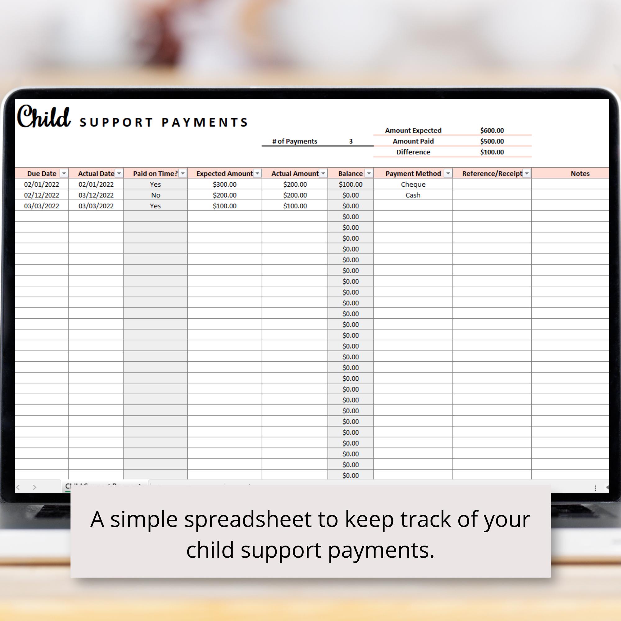 Child Support Payment Tracker Excel Spreadsheet, Child Expense ...