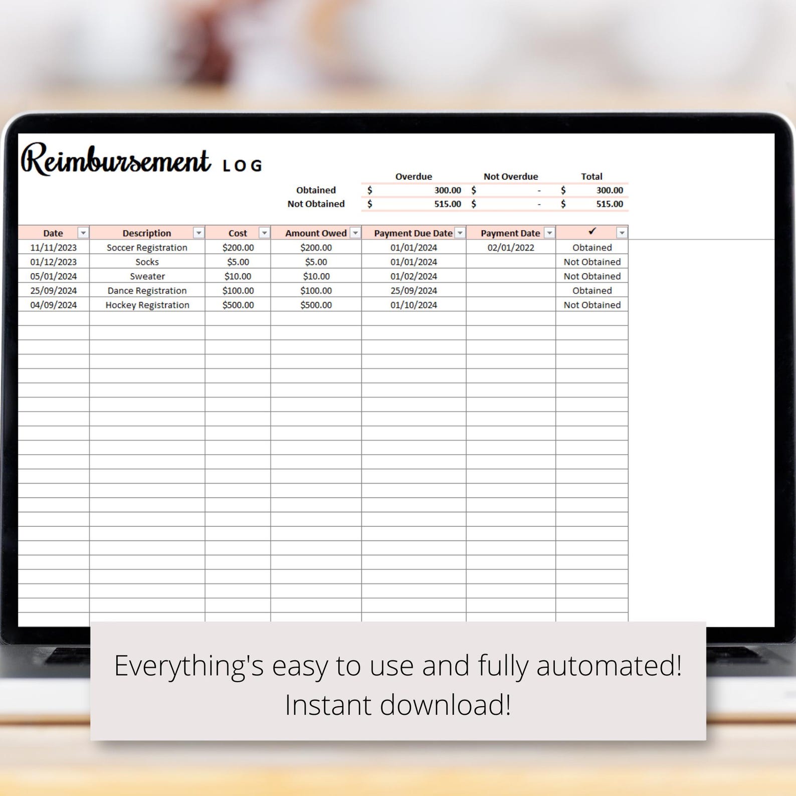 Coparenting Reimbursement & Communications Log Excel Spreadsheet, Child ...