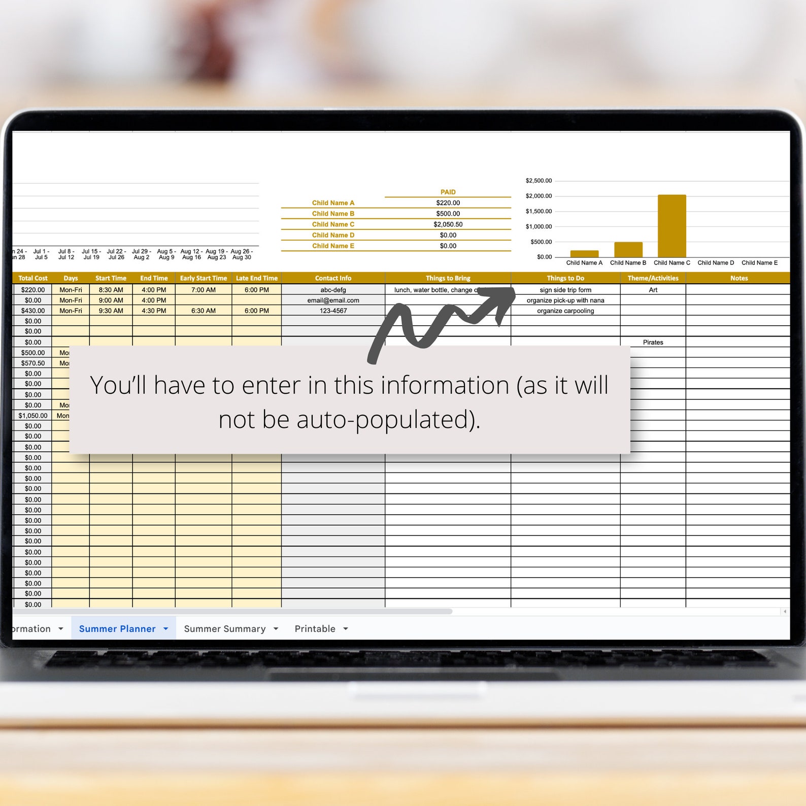 Summer Camp Planner Google Sheets Spreadsheet (14 Weeks), Summer Camp ...