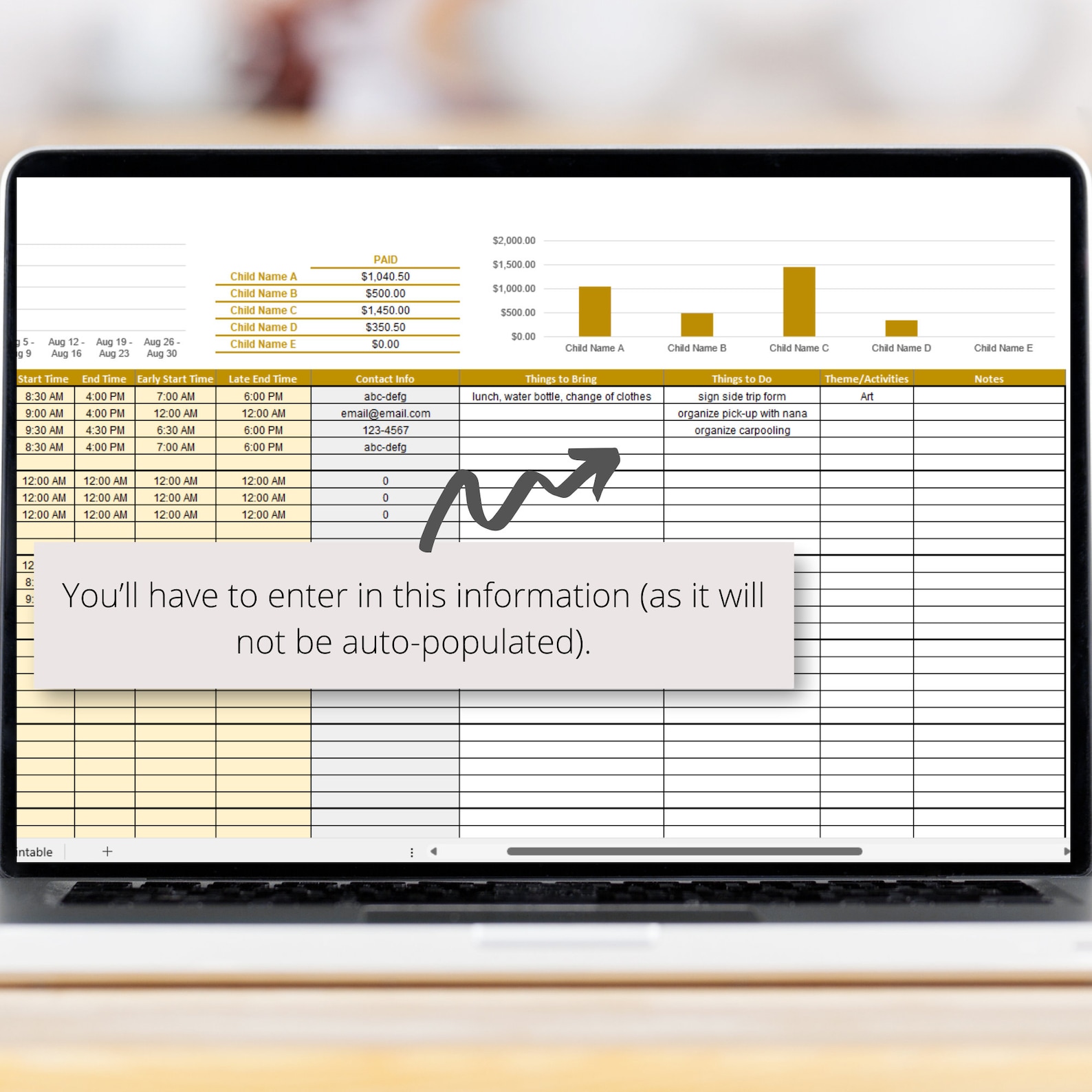 Summer Camp Planner Excel Spreadsheet, Summer Camp Organizer, Camp ...