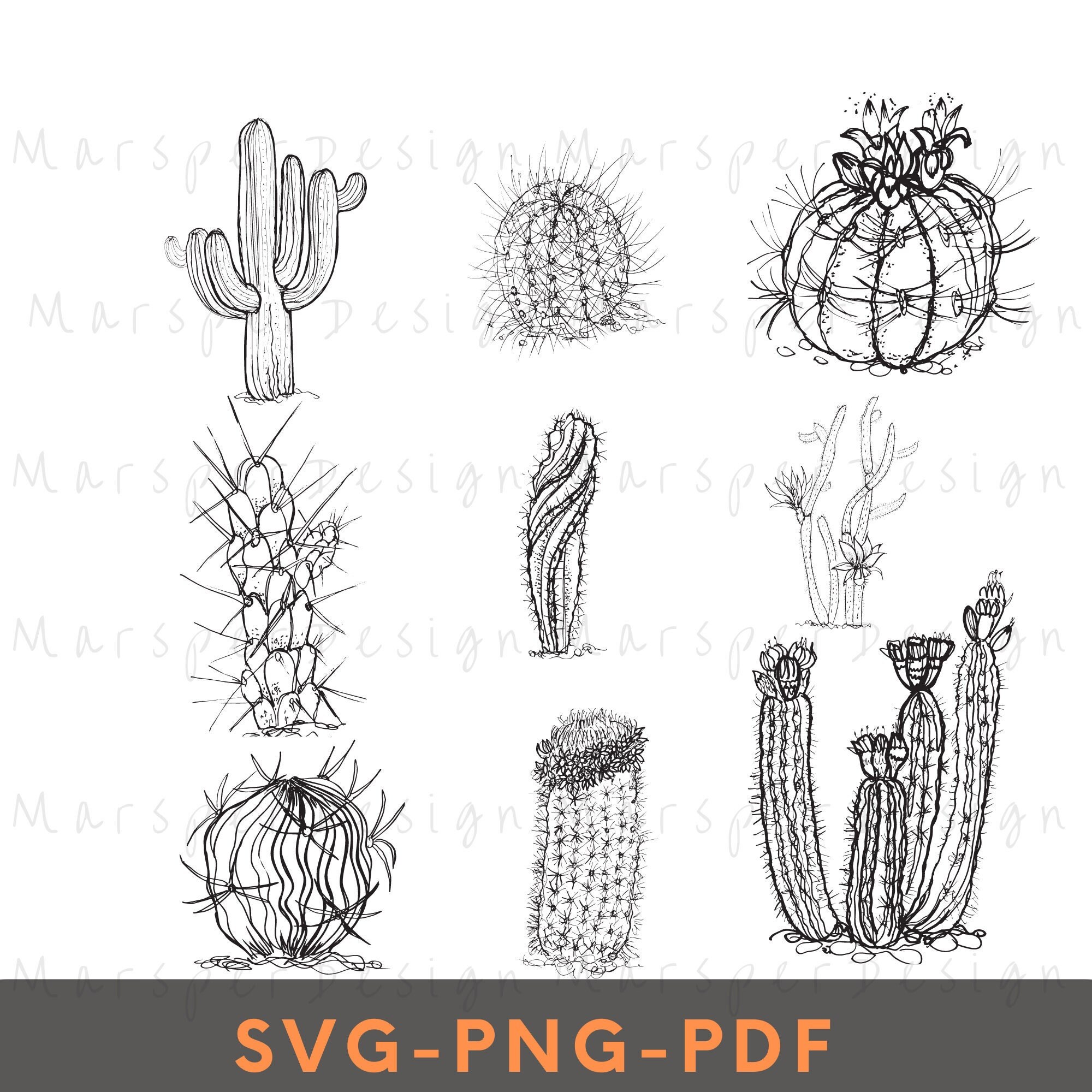 Cactus SVG Bundle, Cactus PNG SVG, Cactus Cut Files for Cricut ...