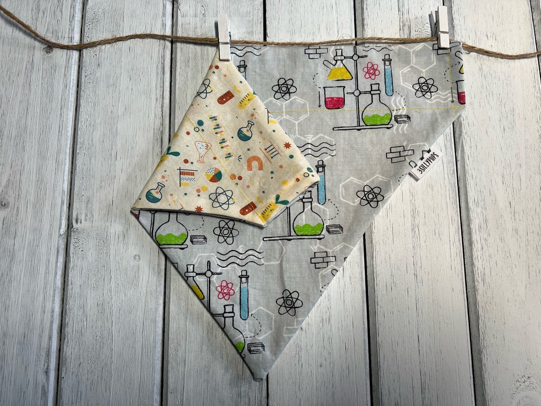 Science is Fun Reversible Over the Collar Bandana - Etsy