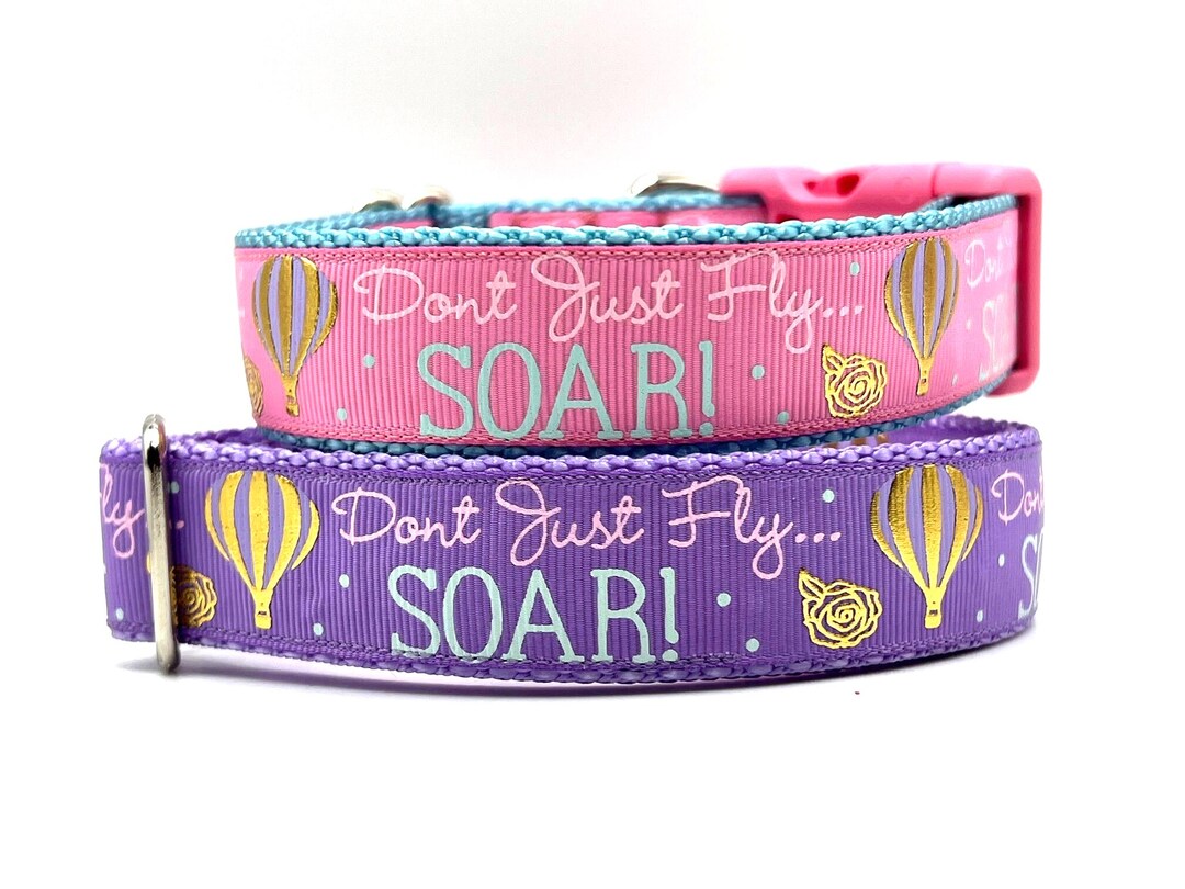 Don't Just Fly, Soar Dog Collar - Etsy