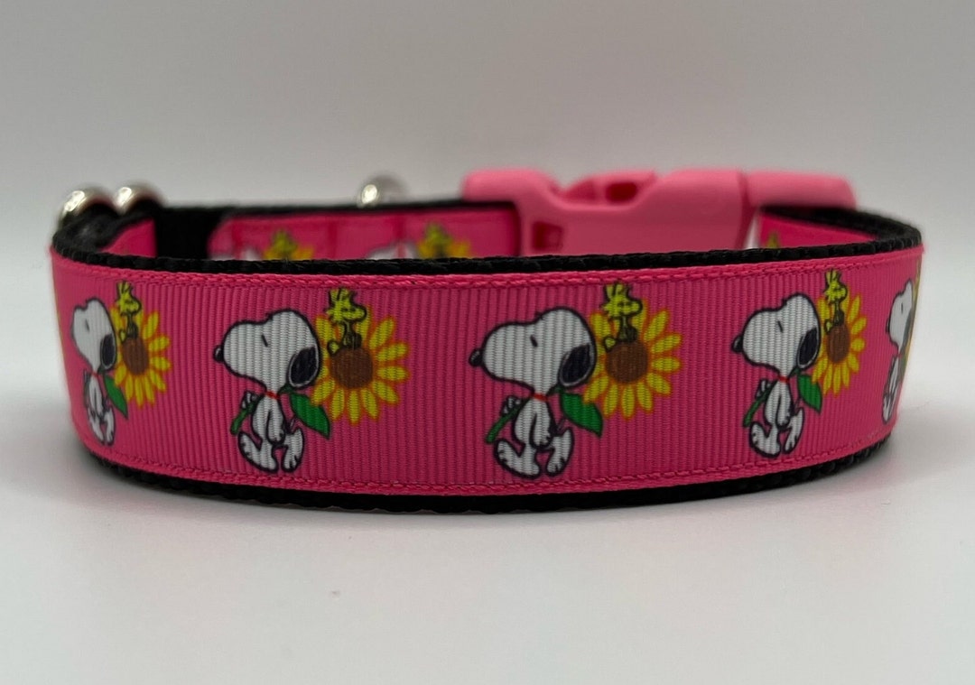Sunflower Beagle Dog Collar - Etsy