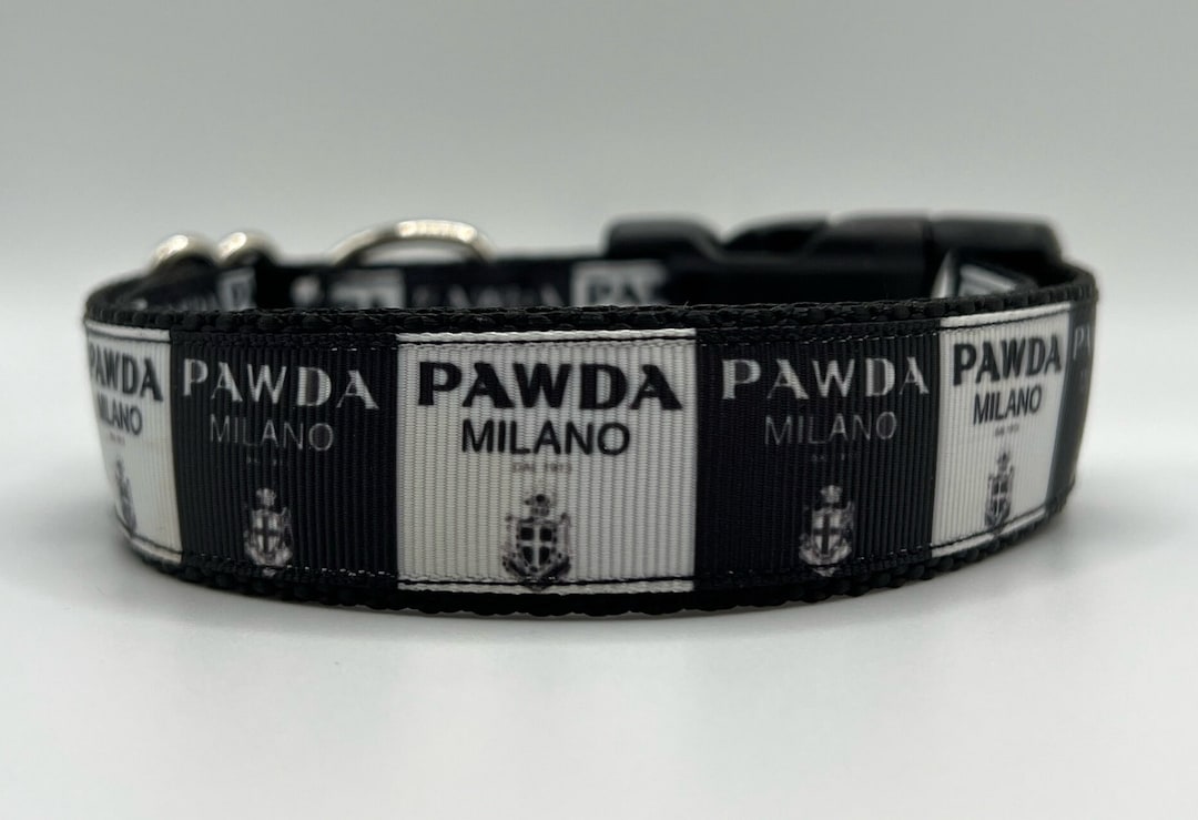 Pawda Dog Collar - Etsy