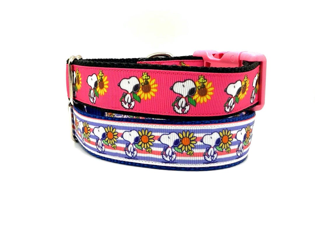 Sunflower Beagle Dog Collar - Etsy