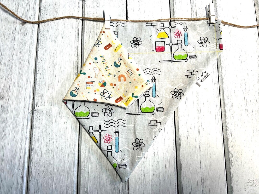 Science is Fun Reversible Over the Collar Bandana - Etsy