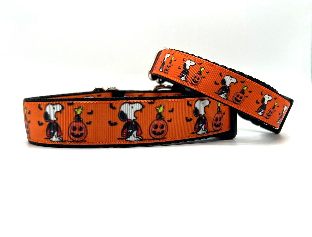 Vampire Beagle Dog Collar - Etsy