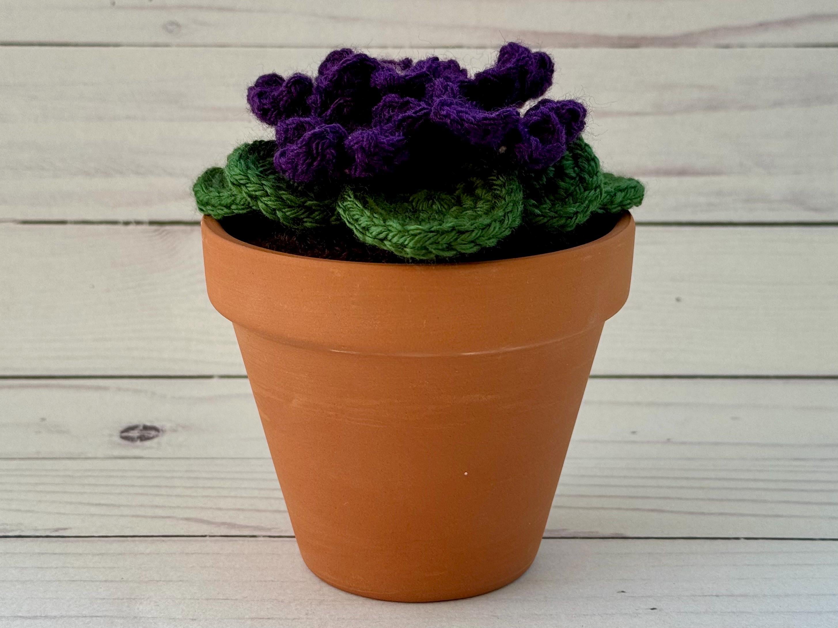 Crochet African Violet - Etsy