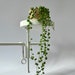Windowsill Clamp Tray for Indoor Plants, Plant Decor, More Space for ...
