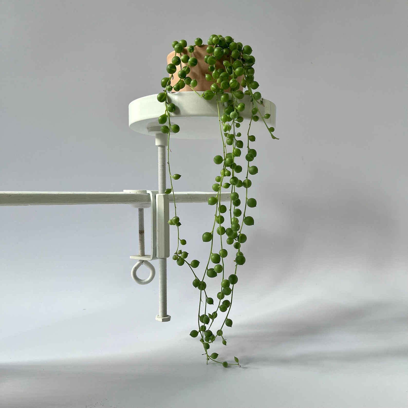 Windowsill Clamp Tray for Indoor Plants, Plant Decor, More Space for ...