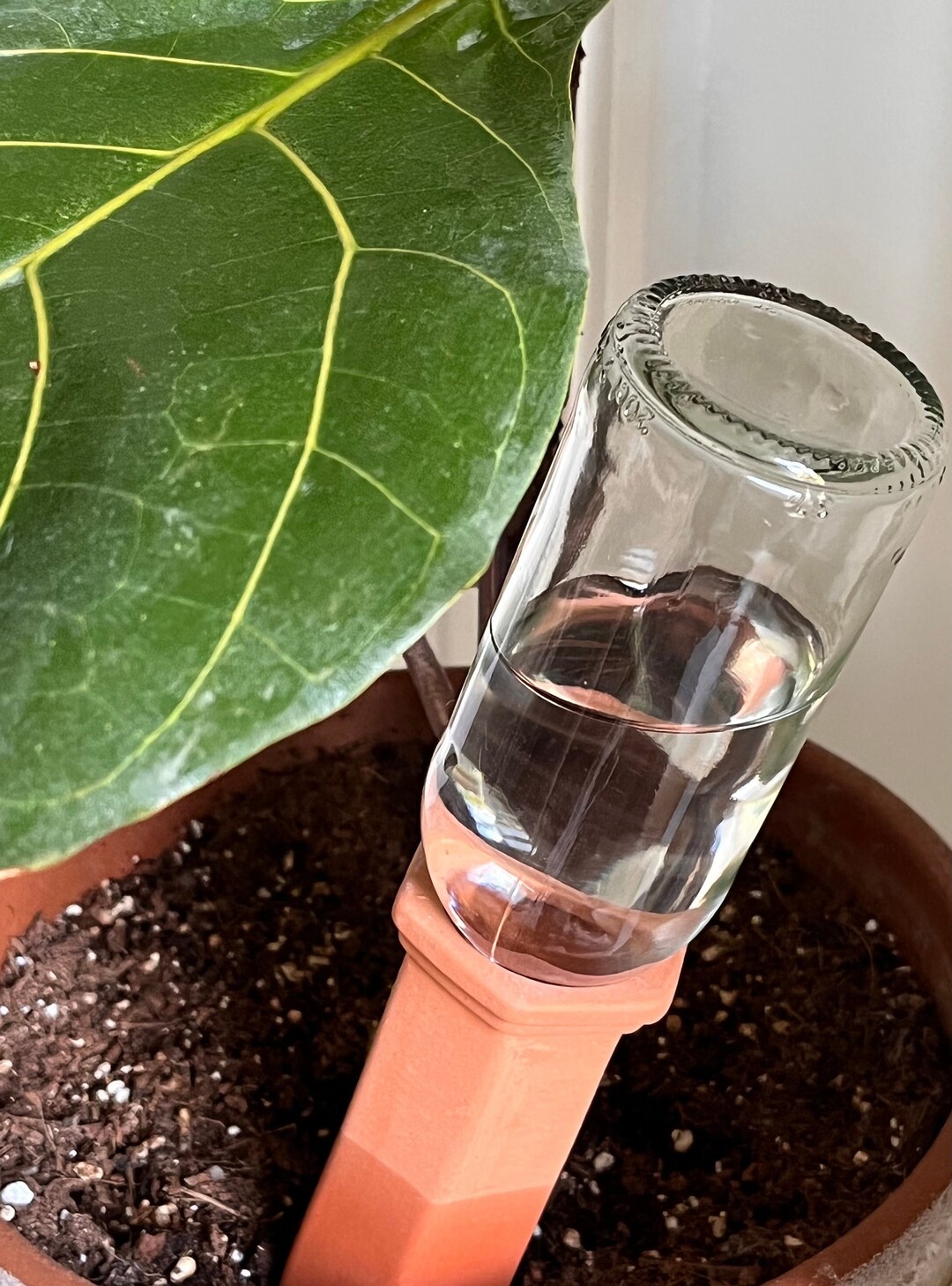 Self-watering Spike for Automatic Watering of Plants - Etsy Canada