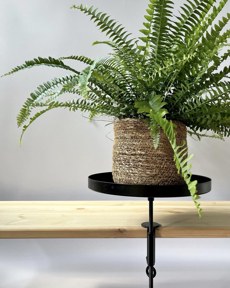 Windowsill Clamp Tray for Indoor Plants Plant Decor More - Etsy