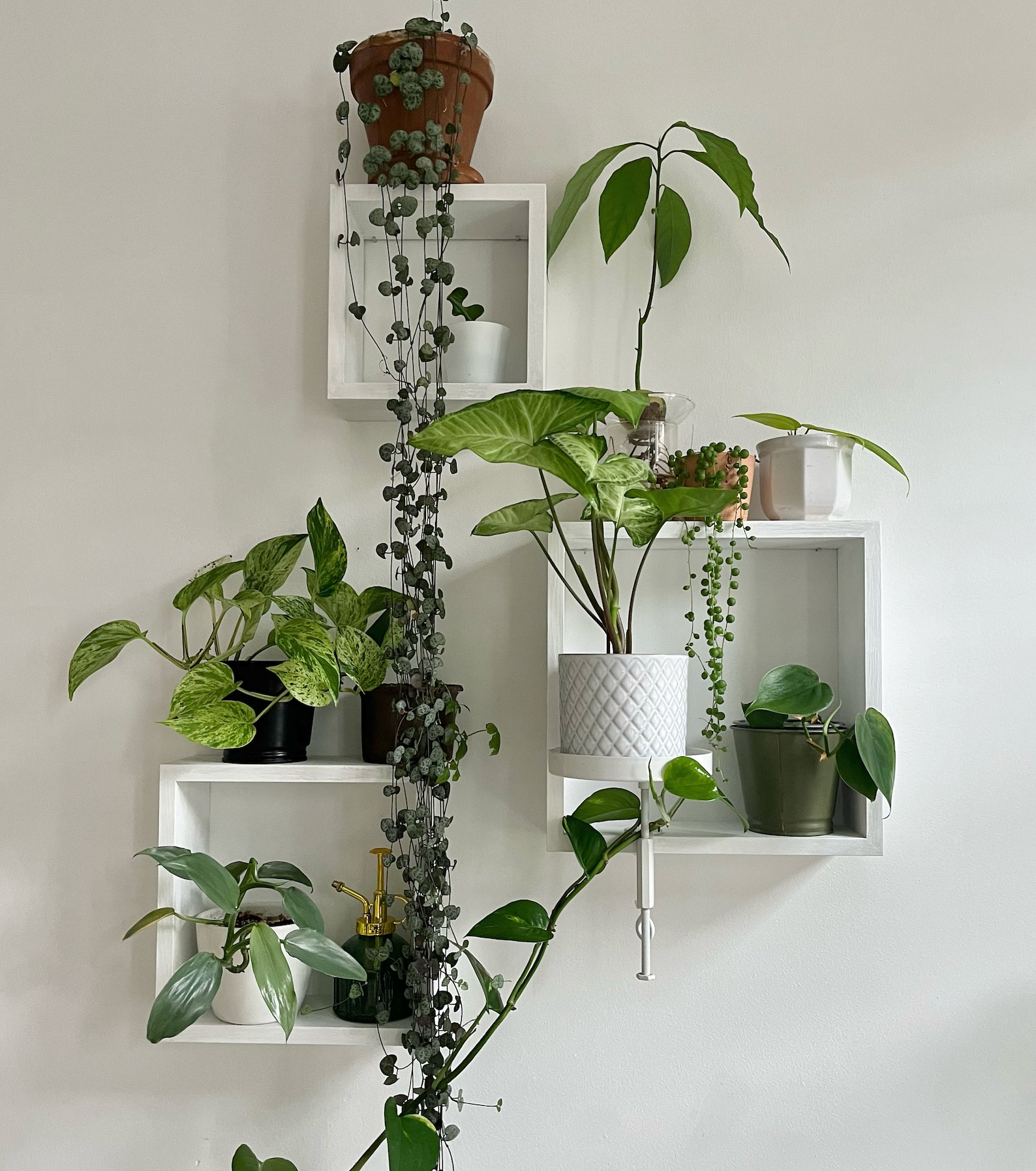Windowsill Clamp Tray for Indoor Plants, Plant Decor, More Space for ...