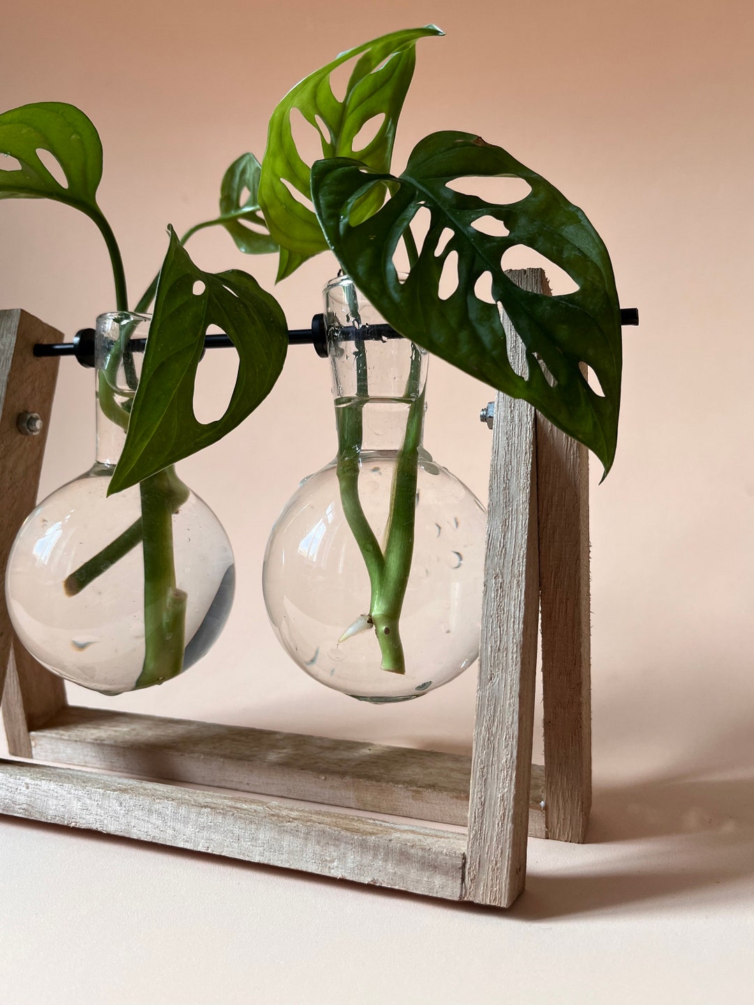 Plant Propagation Station, Cuttings Stand for Plant Cuttings, Indoor ...