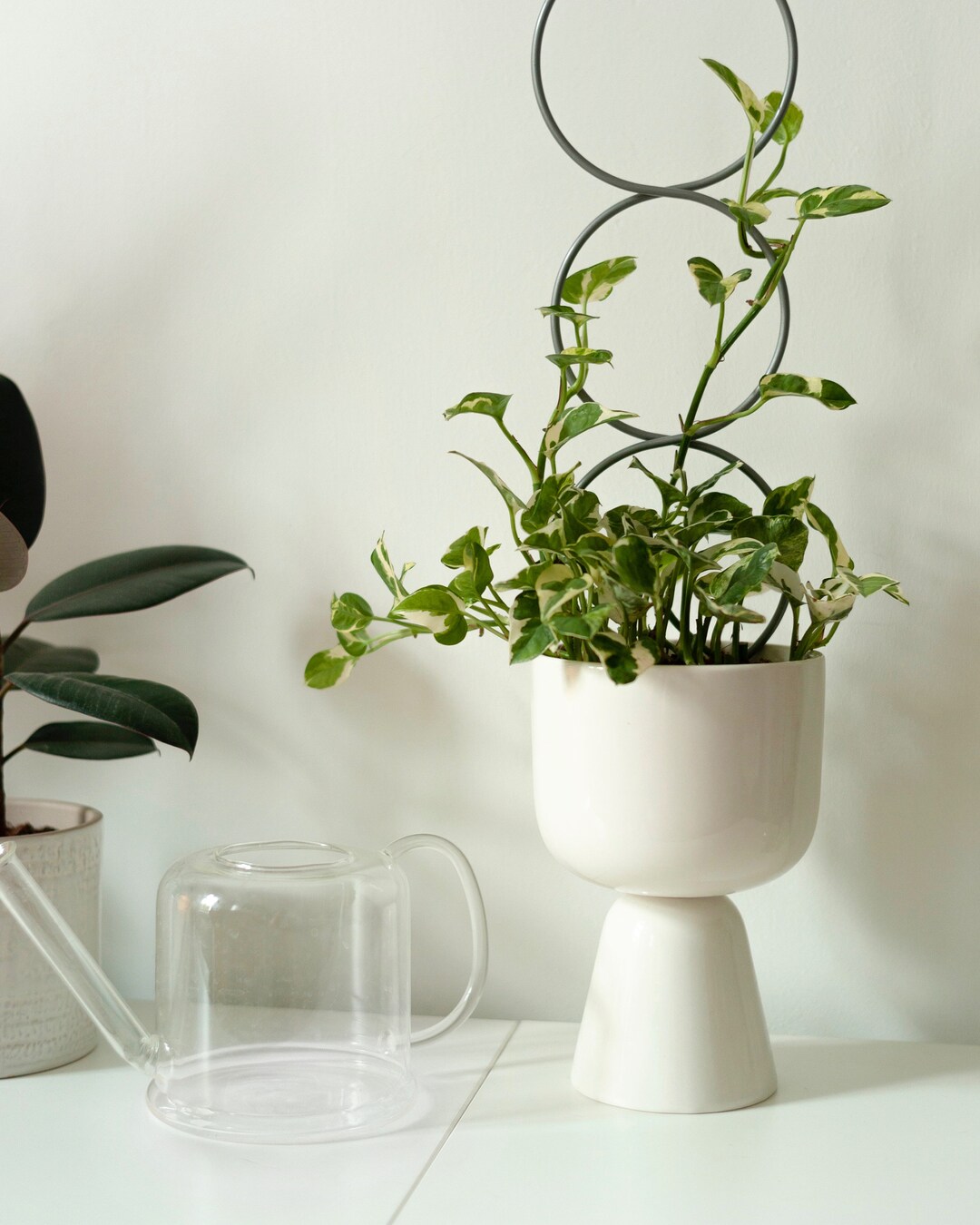 Indoor Plant Support Trellis Vining Plants Support Abstract - Etsy