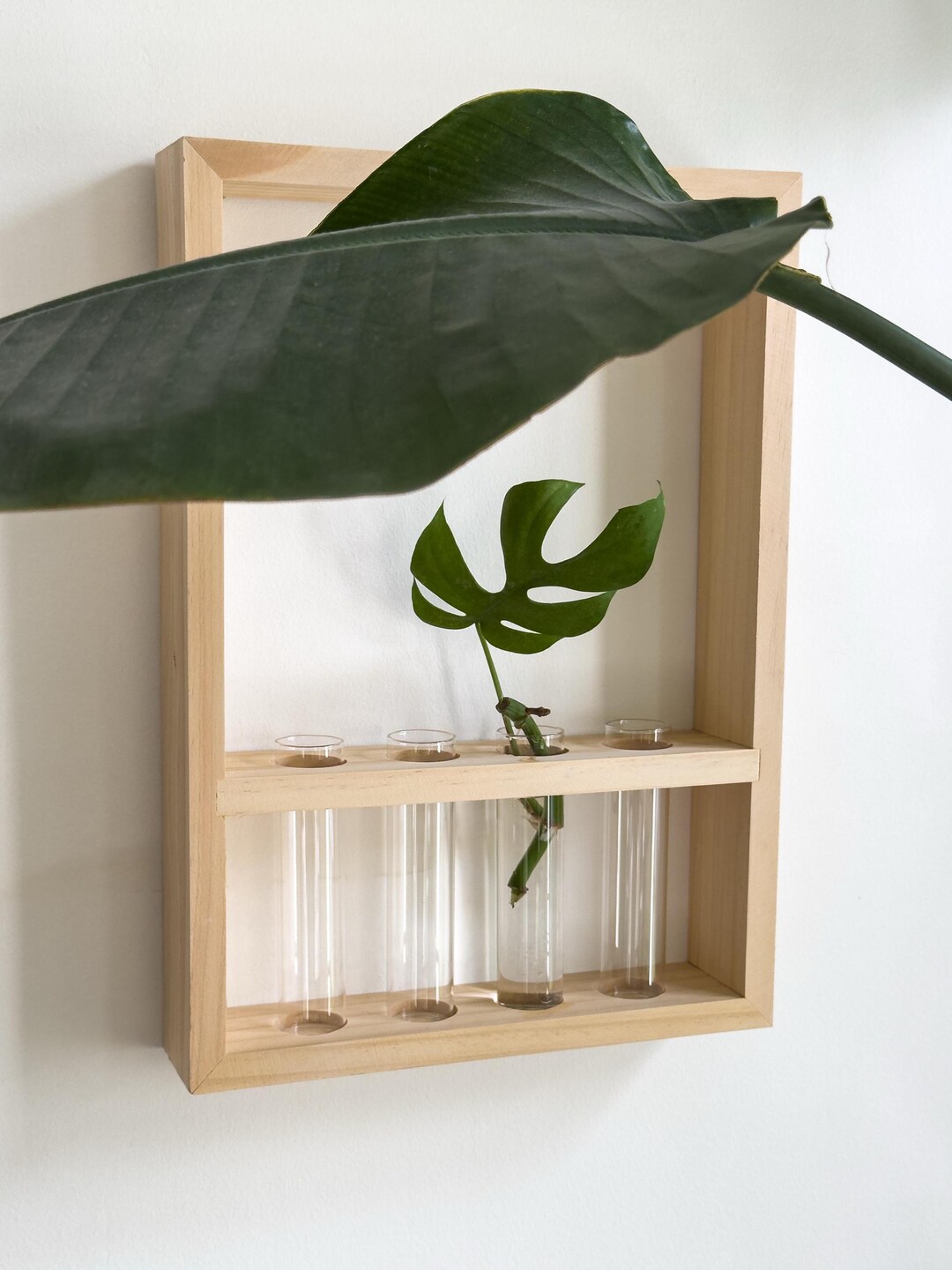 Plant Propagation Frame, - Etsy