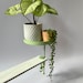 Windowsill Clamp Tray for Indoor Plants, Plant Decor, More Space for ...