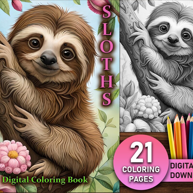 Sloth Coloring Book - Etsy