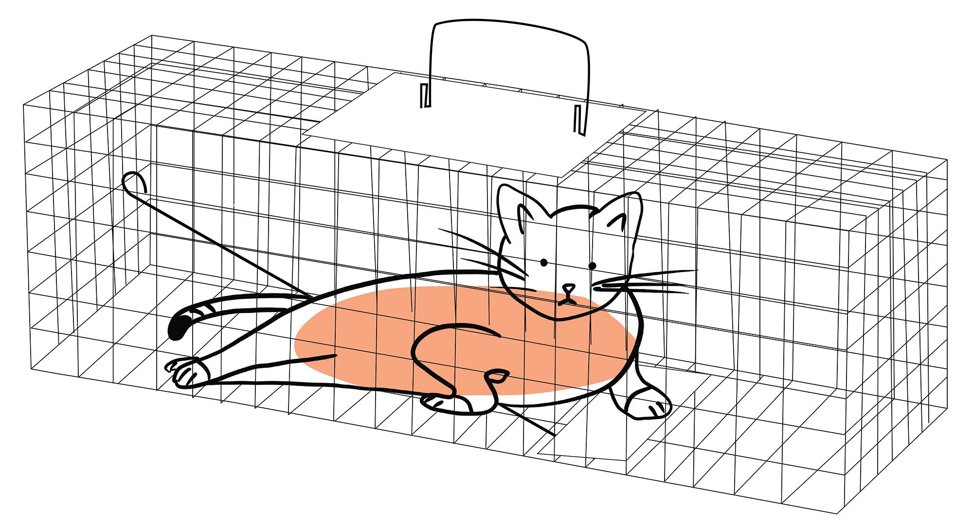 3 Graphics of Cats in Cat Traps - High Resolution PNG Graphic ...