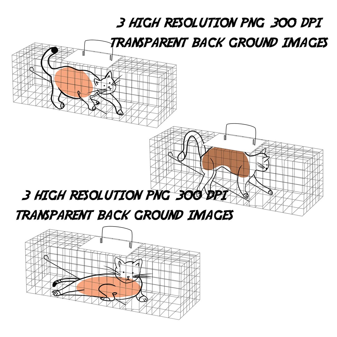 3 Graphics of Cats in Cat Traps - High Resolution PNG Graphic ...