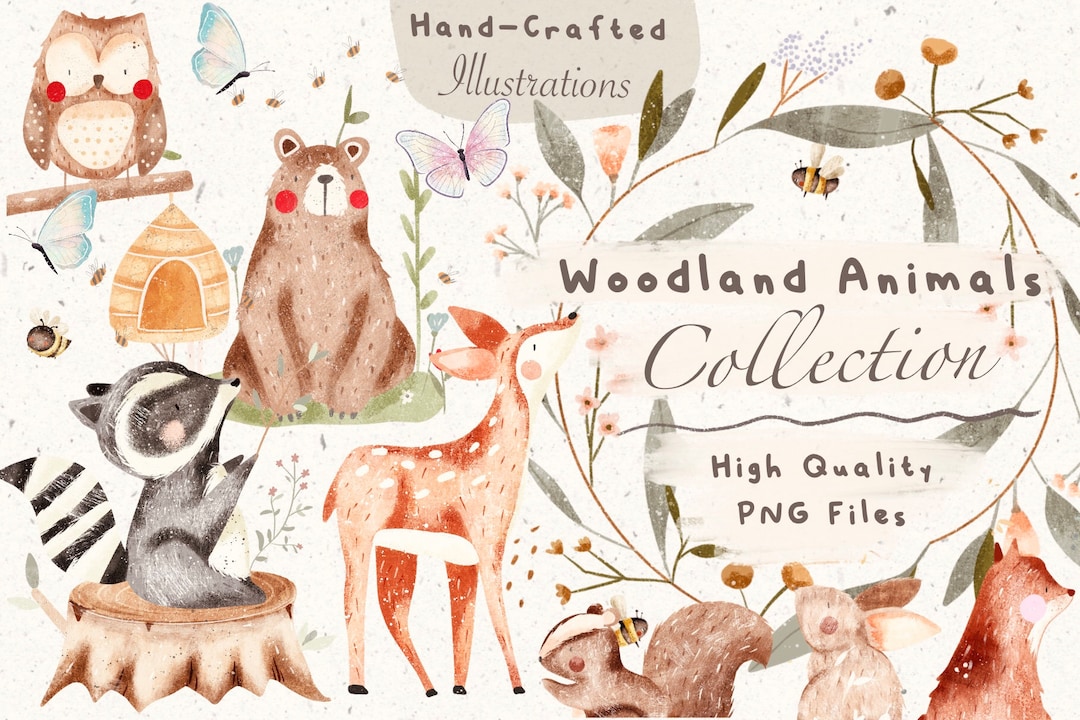 Set of 29 Pngs for Sublimation Mega Woodland PNG Bundle Forest Animals ...