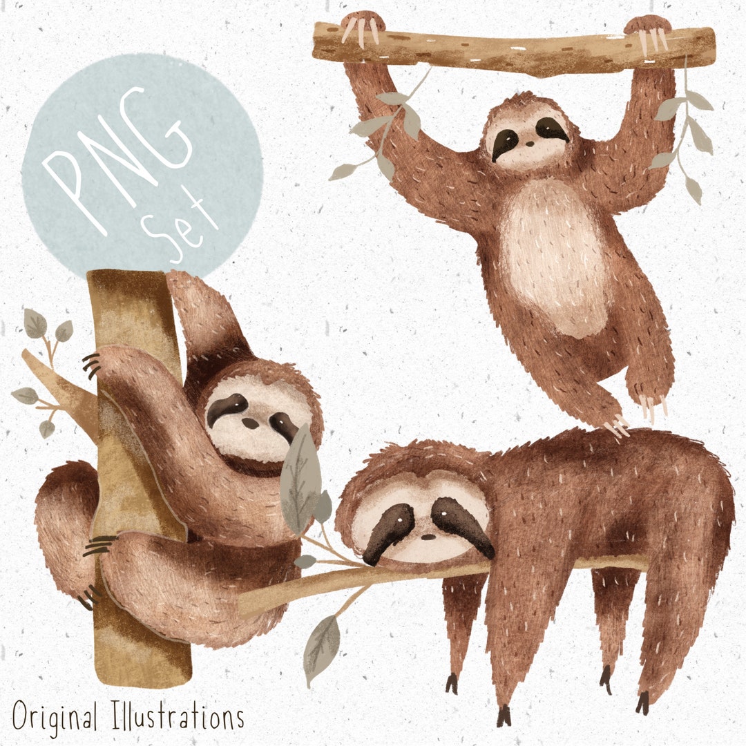 3 Pngs for Sublimation Sloth Clipart Safari Animals PNG Gender Neutral ...