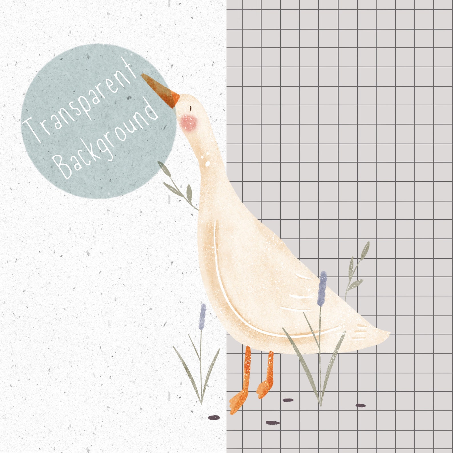 PNG for Sublimation Goose PNG Baby Clothing Clipart for Newborn Duck ...