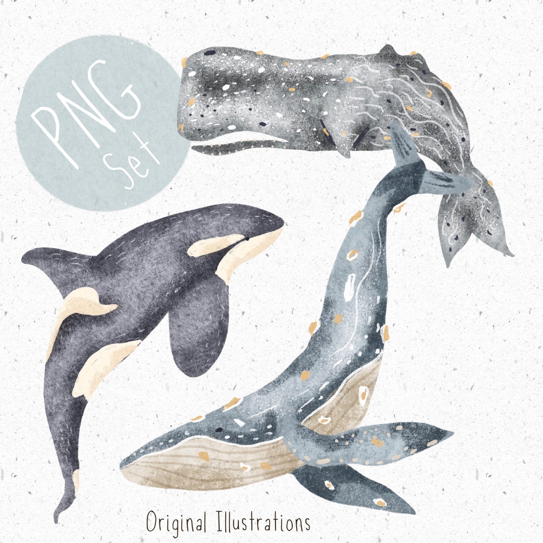 Set of 3 Pngs for Sublimation Nautical PNG Set Whale Clipart Underwater ...