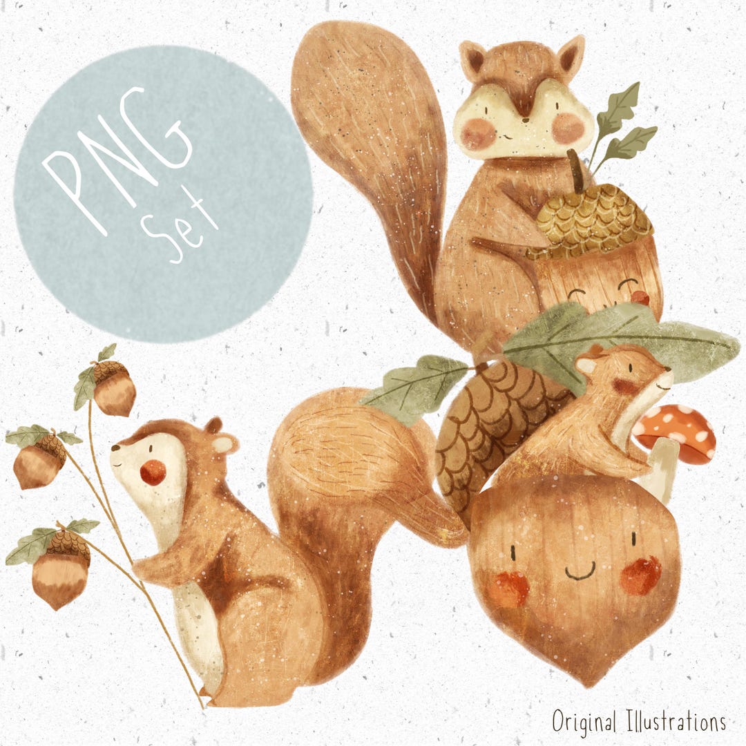 Set of 3 Squirrel Pngs for Sublimation Fall PNG Set Acorn Clipart ...
